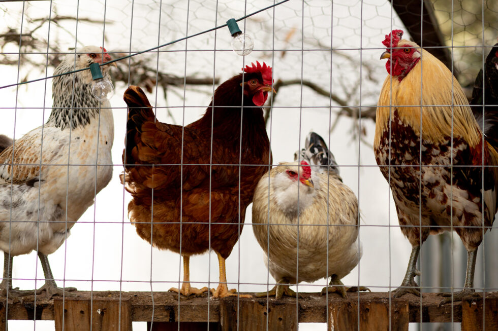 Faithfully Made Co | Navarre Branding Photographer - Tiffany Shae ...