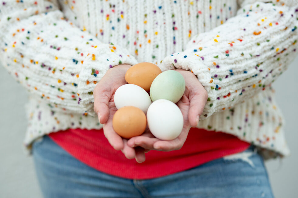 Faithfully Made Co | Navarre Branding Photographer - Tiffany Shae ...